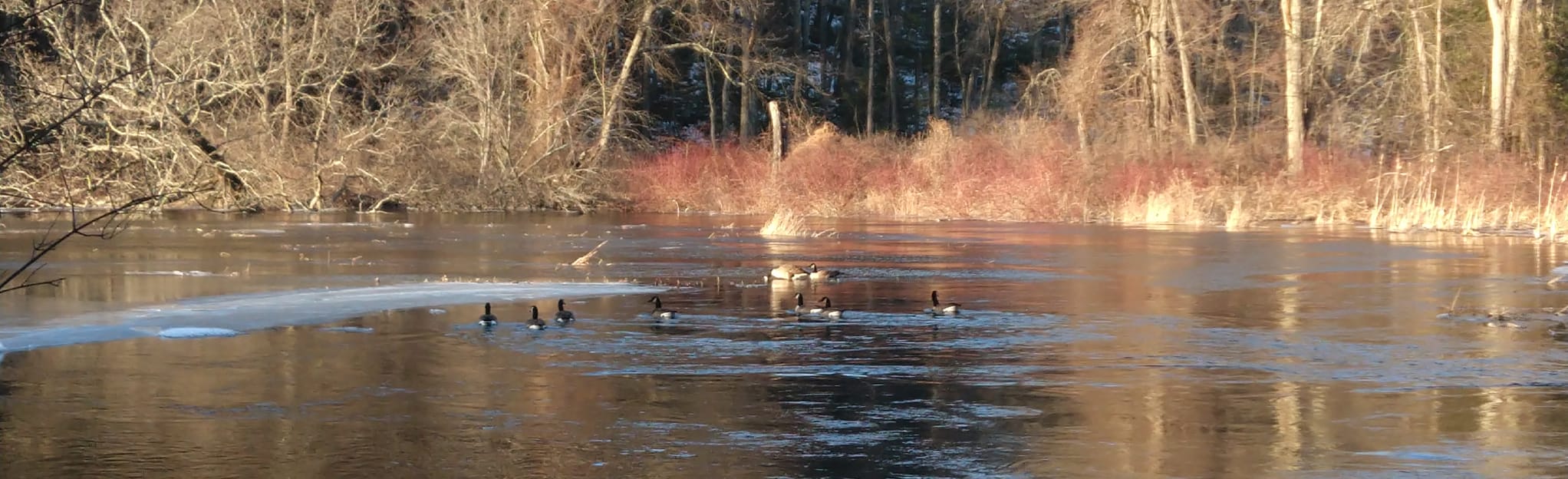 Assabet River Nature Trail : 48 Reviews, Map - Massachusetts | AllTrails
