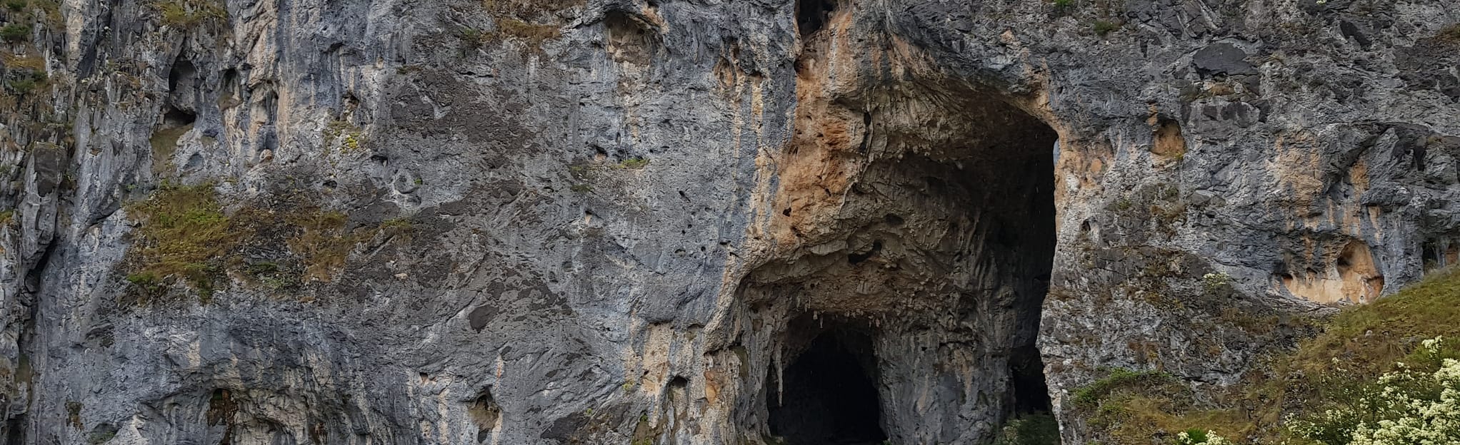 Castle Cave Walk: 75 foto's - Nieuw-Zuid-Wales, Australië | Wandelen ...