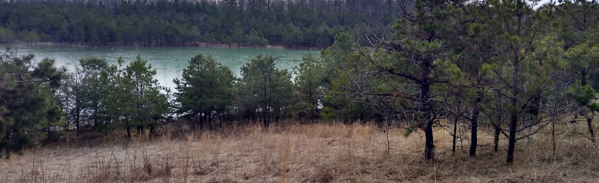 Inskip Road Loop, New Jersey - 39 Reviews, Map | AllTrails