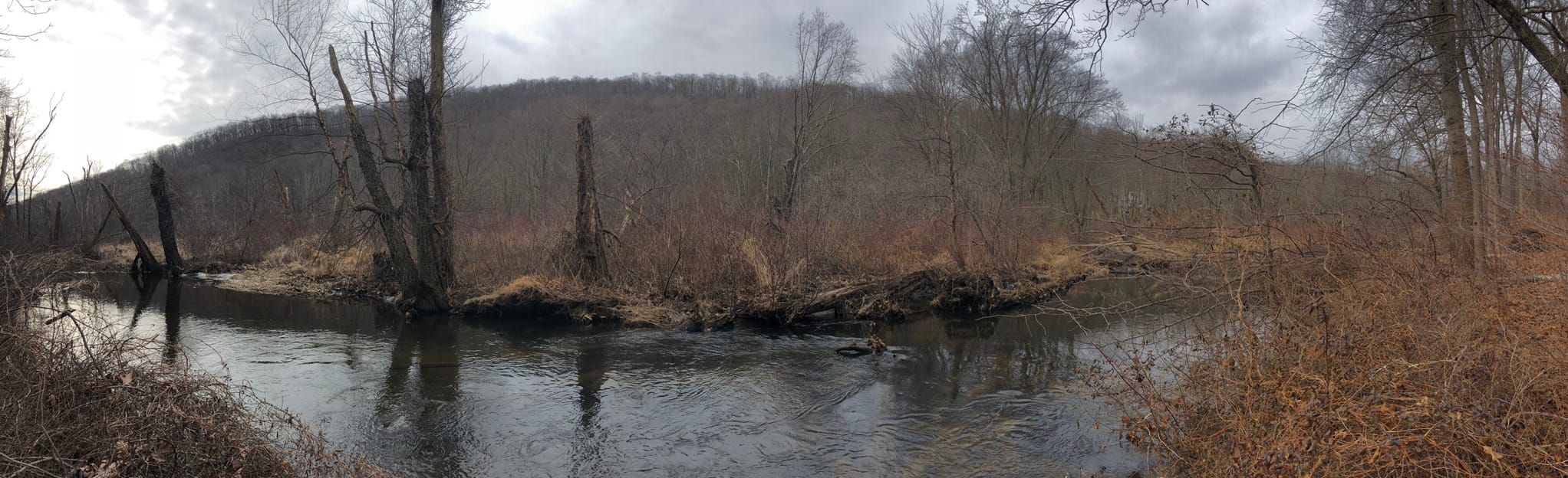 Wildcat WMA, Graffiti Cliffs, and Four Birds Trail Loop: 199 Reviews ...