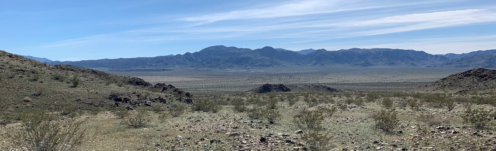 Pinto Mountain | Map, Guide - California | AllTrails