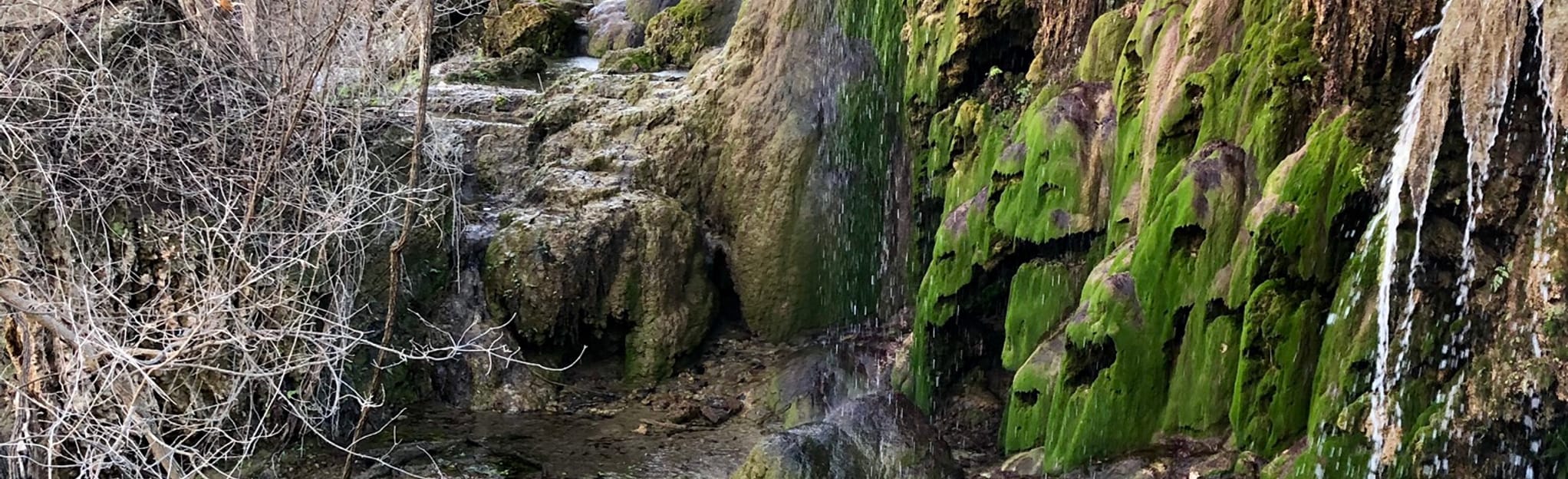 Cedar Chopper, Dogleg Canyon, Fourth Path, and Gorman Falls: 199 ...