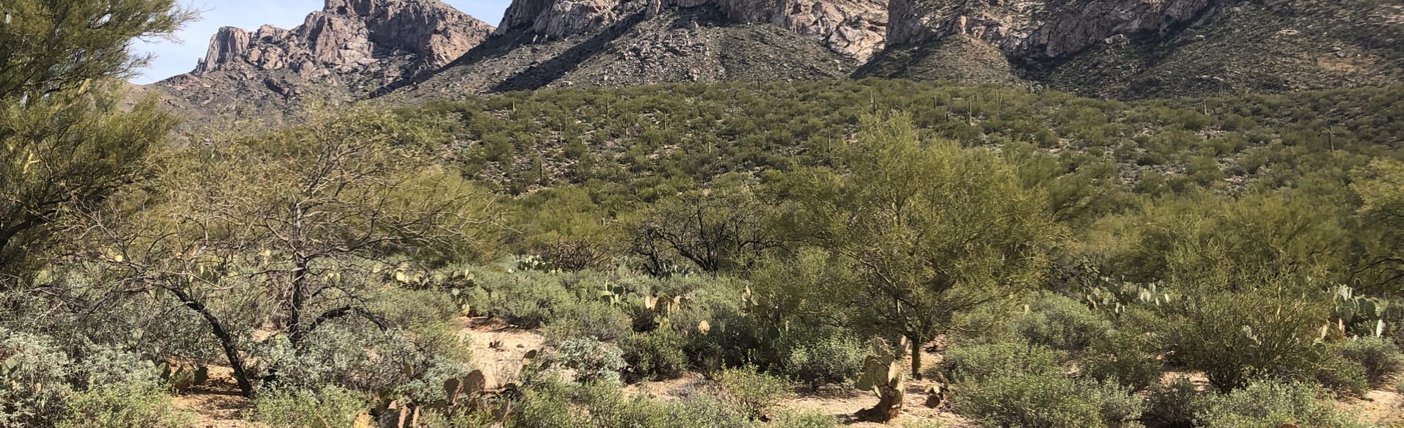 Linda Vista Loop Trail - Arizona | AllTrails