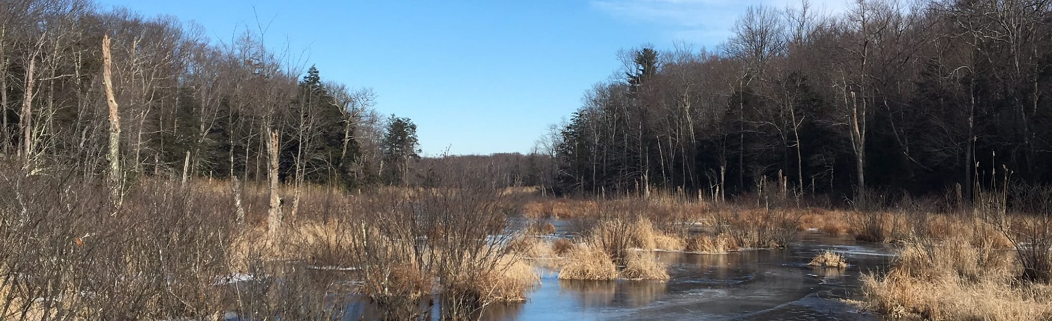 Banker, Double Pond, Sitting Bear, and Cherry Ridge Road Loop: 27 ...