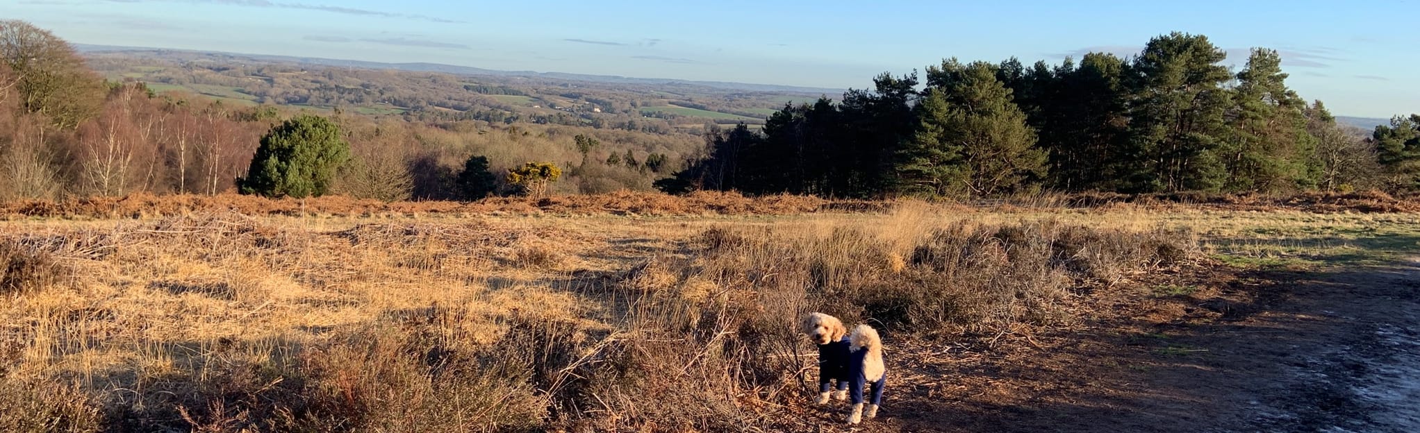 Ashdown Forest Golf Club, East Sussex, England - 84 Reviews, Map ...