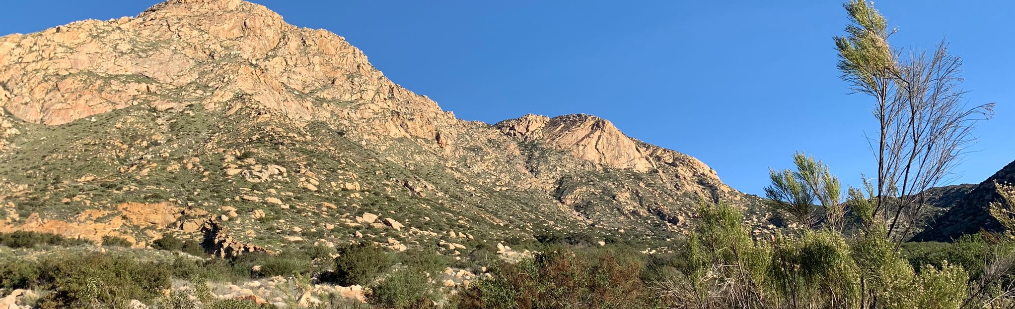 Wild Turkey Trail | Map, Guide - California | AllTrails