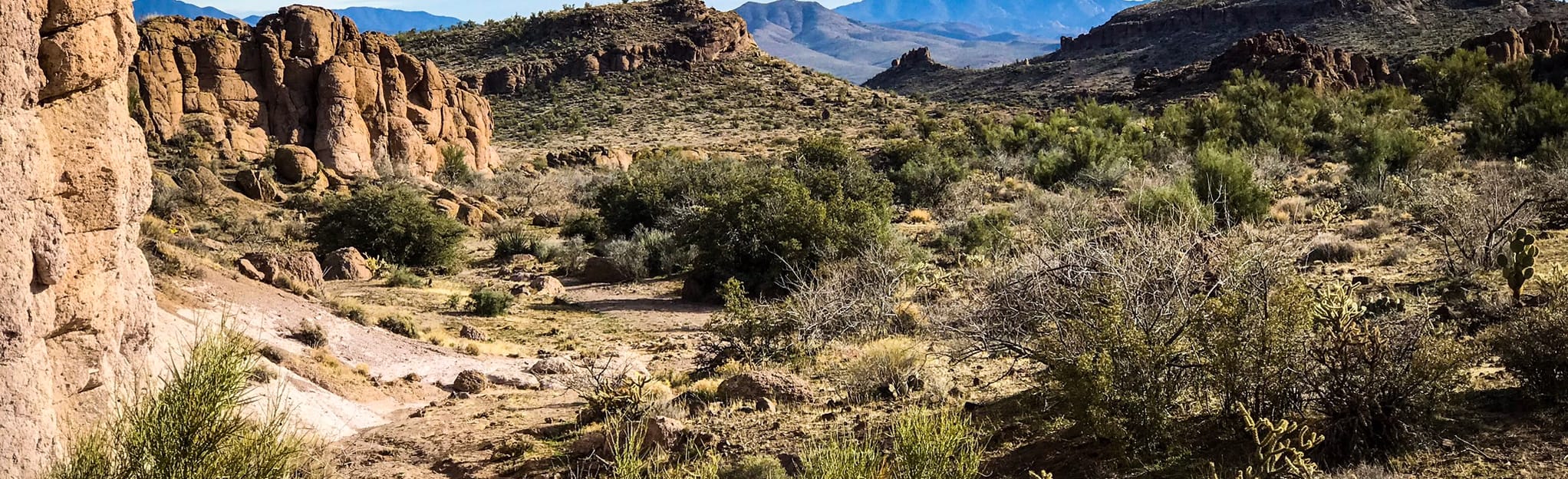 Monolith Garden and Foothill Rim Trail Loop, Arizona - 29 Reviews, Map ...