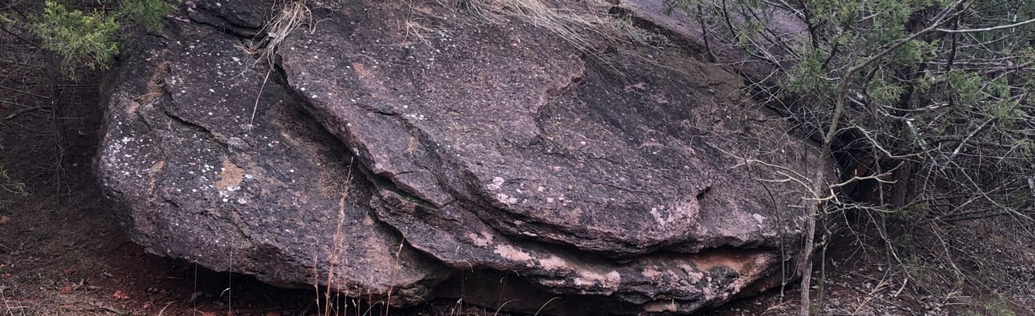 Bell Cow Lake Equestrian Trail: 77 Reviews, Map - Oklahoma | AllTrails