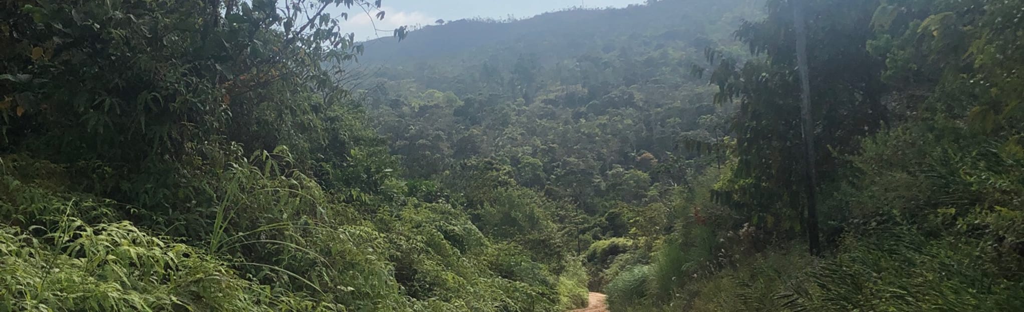 Kalu Yala - Cerro Azul, Panama City, Panama - Map, Guide | AllTrails