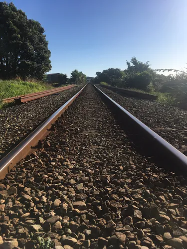 10 Best Trails and Hikes in Greymouth | AllTrails