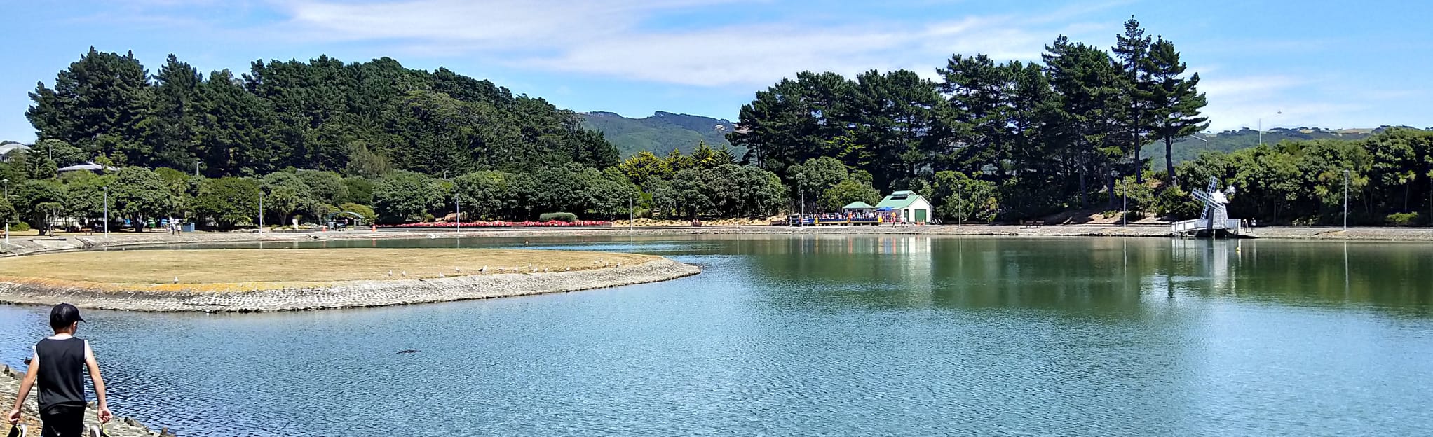Aotea Lagoon Loop, Wellington, New Zealand - 9 Reviews, Map | AllTrails
