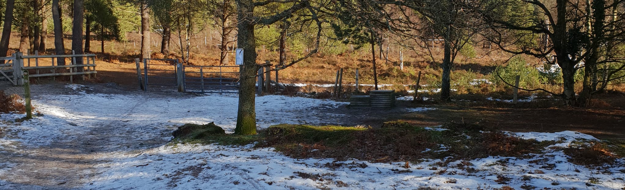 Avon Heath Circular, Hampshire, England - 23 Reviews, Map | AllTrails