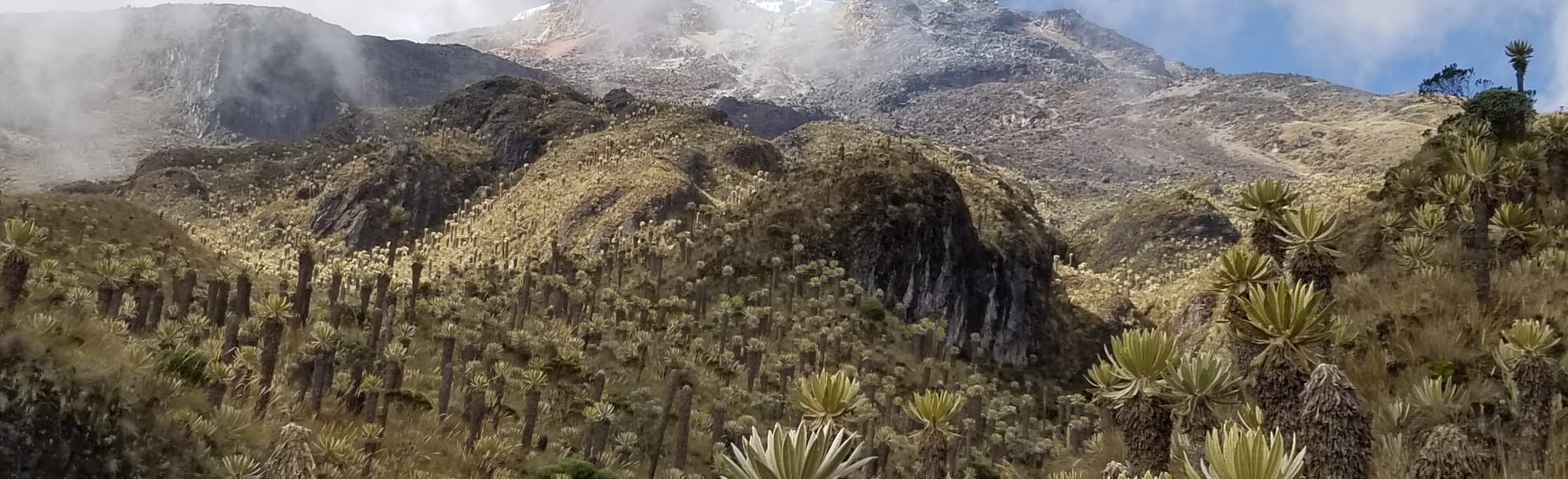 Nevado del Tolima: 103 fotos - Tolima, Colômbia | AllTrails