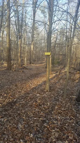 Best Hikes and Trails in Sweet Briar Trail System | AllTrails