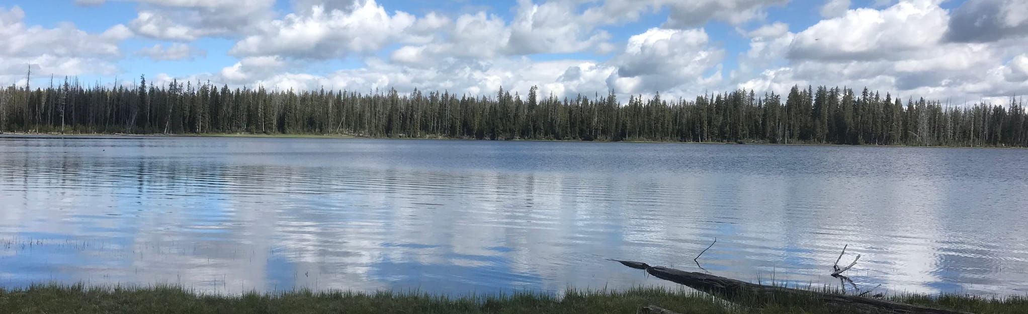 Summit Lake Trail: 6 Reviews, Map - Montana | AllTrails