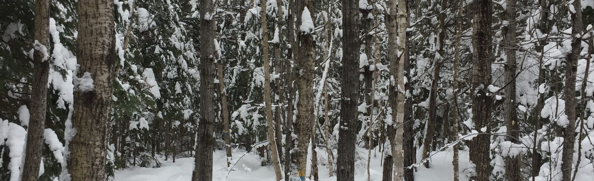 Mont-Carmel Cultural Walking Path, Quebec, Canada - 20 Reviews, Map ...
