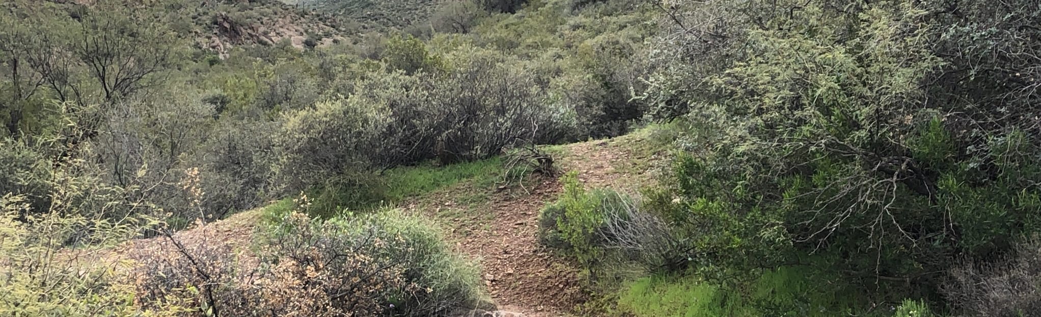 Parker Pass via Dutchman’s Trail, Arizona - 375 Reviews, Map | AllTrails