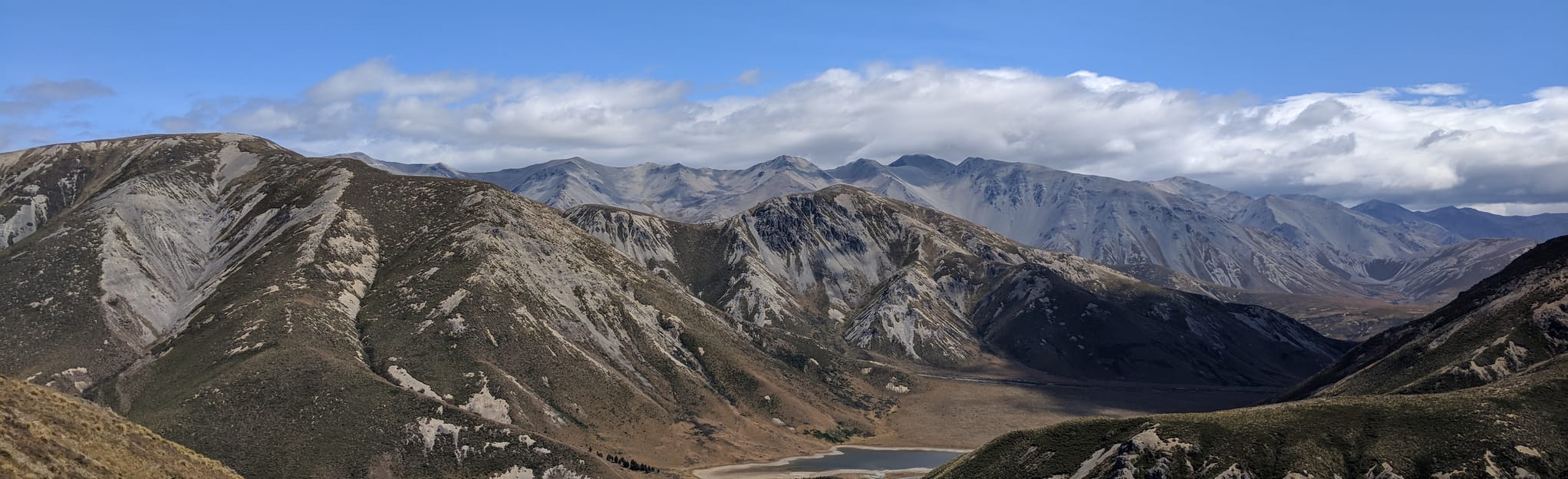 Kowai Forest Loop, Canterbury, New Zealand - 38 Reviews, Map | AllTrails