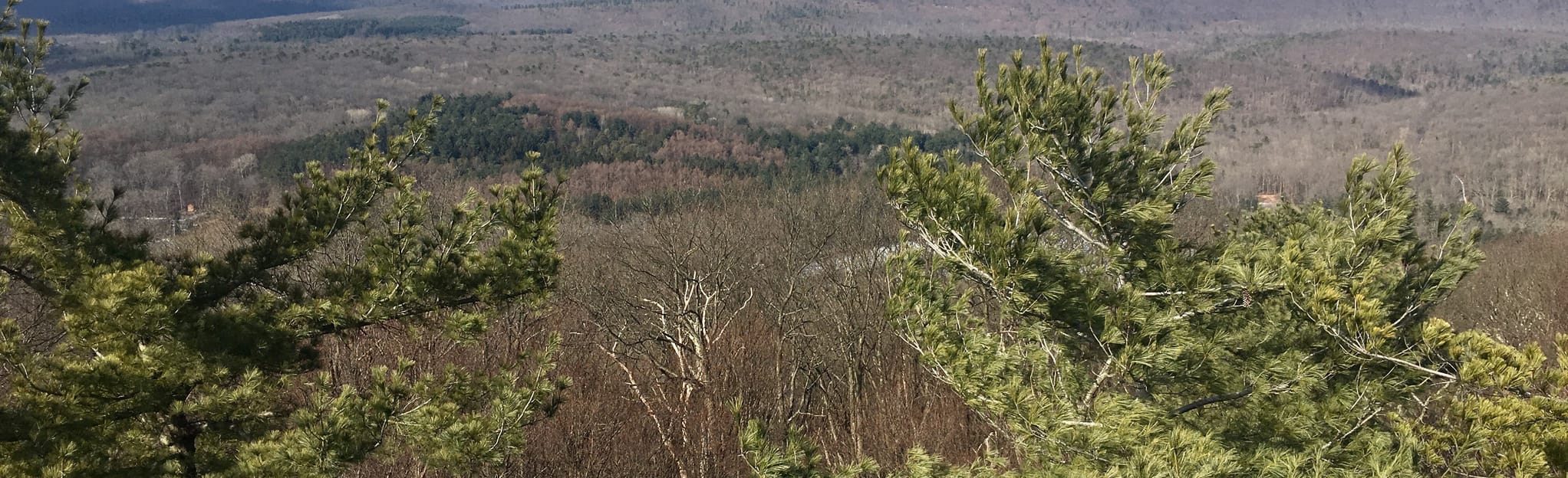 Pine Grove Furnace: Appalachian and Pole Steeple Loop: 96 Reviews, Map ...