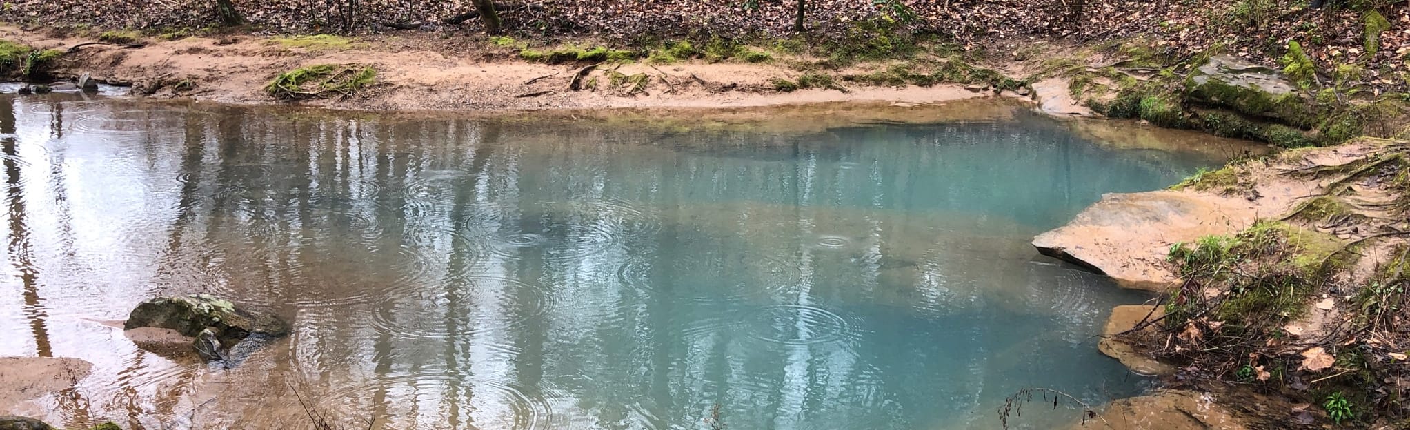 Blue Hole Trail to Ellisons Cave, Georgia - 90 Reviews, Map | AllTrails