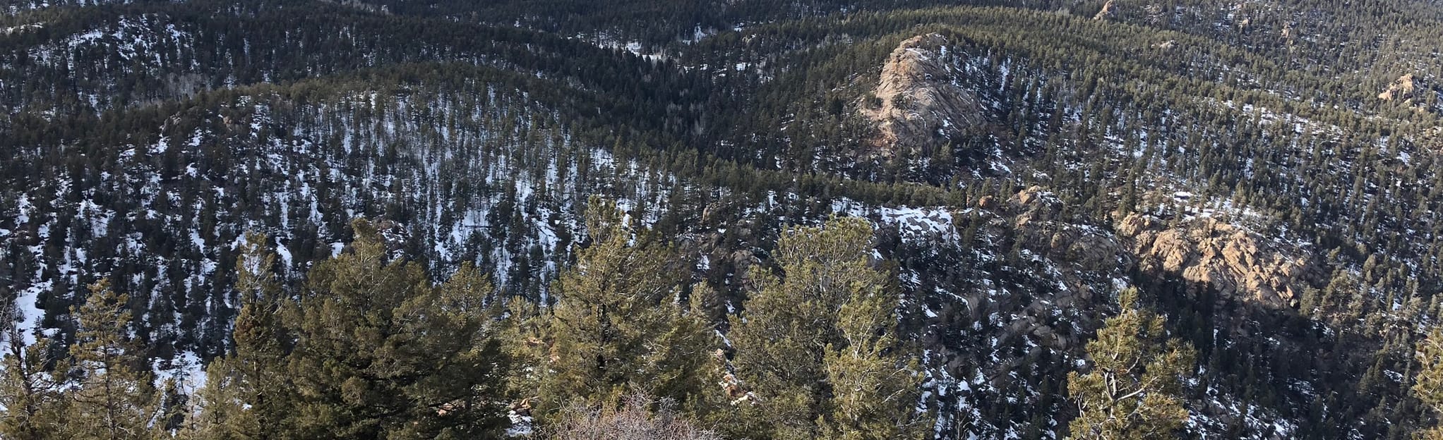 Eagles Peak Trail, Colorado - 454 Reviews, Map | AllTrails