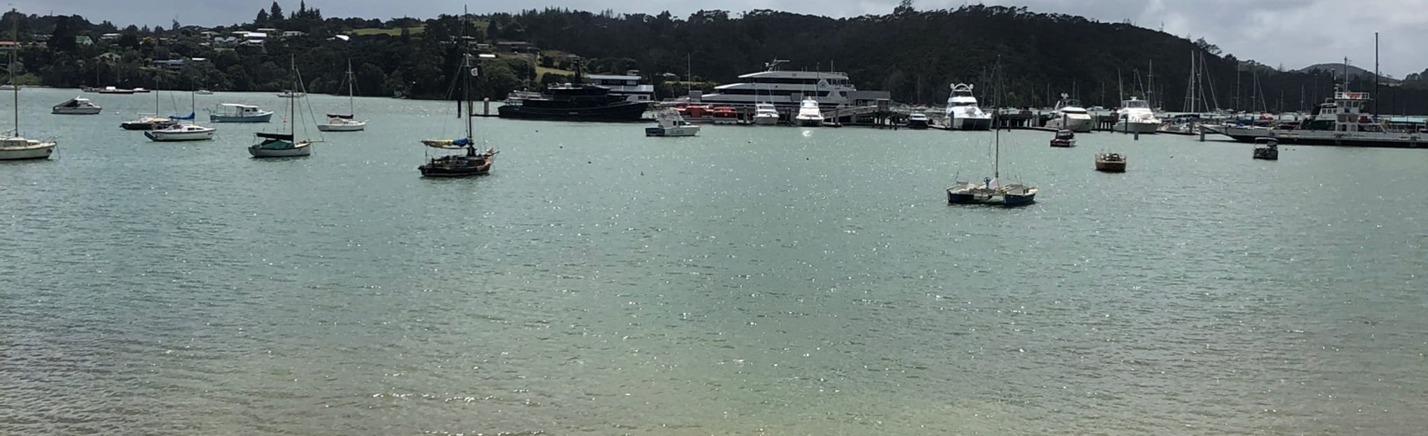 Paihia to Opua Coastal Walkway: 68 Reviews, Map - Northland, New ...