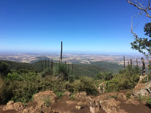 10 Best Walking Trails in Bunya Mountains National Park | AllTrails