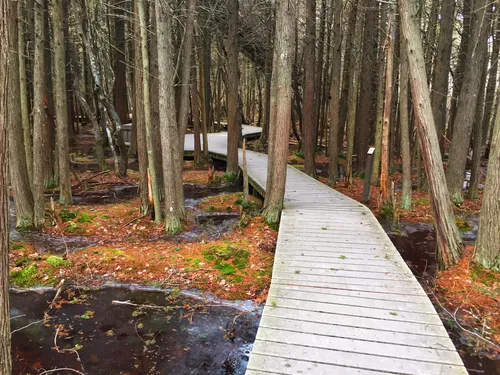 10 Best Walking Trails in Cape Cod National Seashore | AllTrails