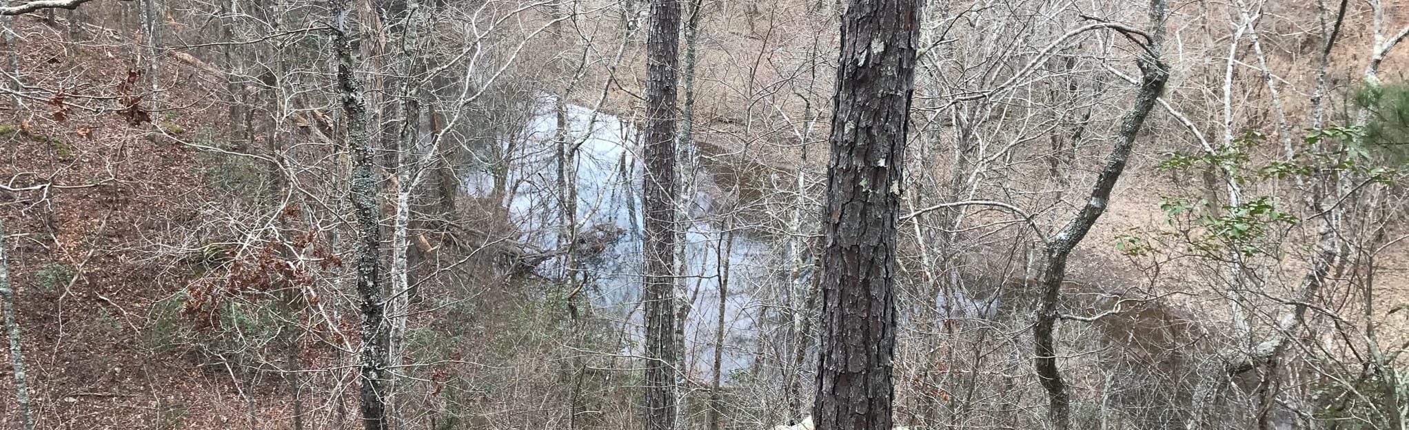 Highrock Lake to Pine Glen Campground via Pinhoti Trail | Map, Guide ...