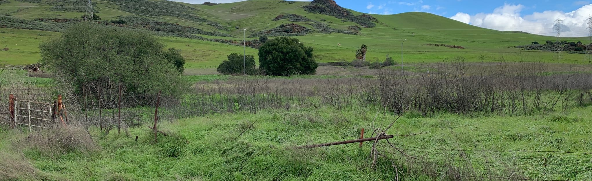 Hellyer County Park Loop, California - 243 Reviews, Map | AllTrails