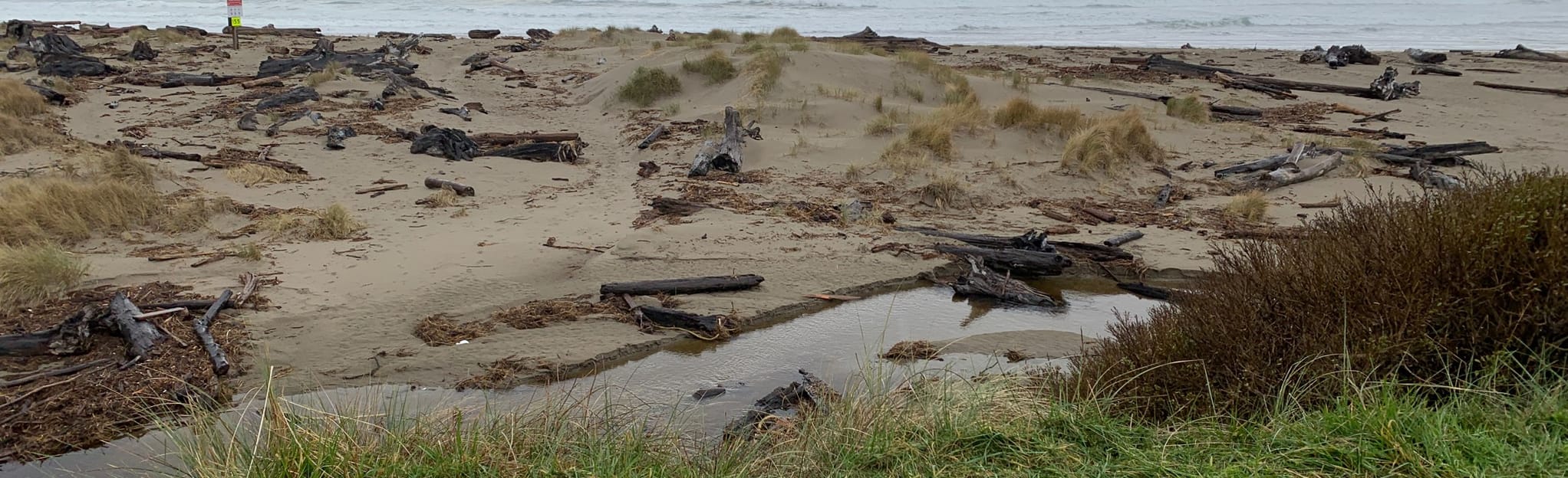 China Creek to Bradley Lake, Oregon - 8 Reviews, Map | AllTrails