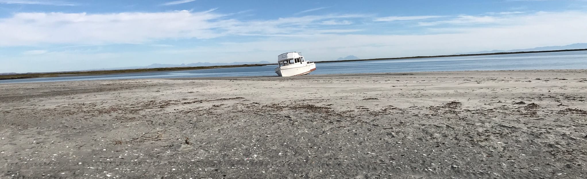 Campo Rene - Baja California Sur, México | AllTrails