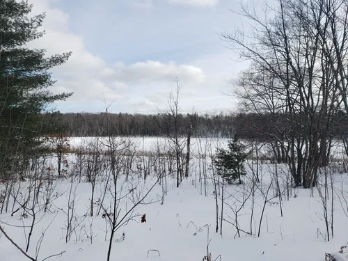 Best Hikes and Trails in Kalkaska | AllTrails
