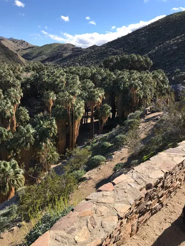 10 Best Hikes and Trails in Agua Caliente Band of Cahuilla Indians ...