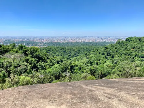 As 10 melhores trilhas e caminhadas em São Paulo | AllTrails
