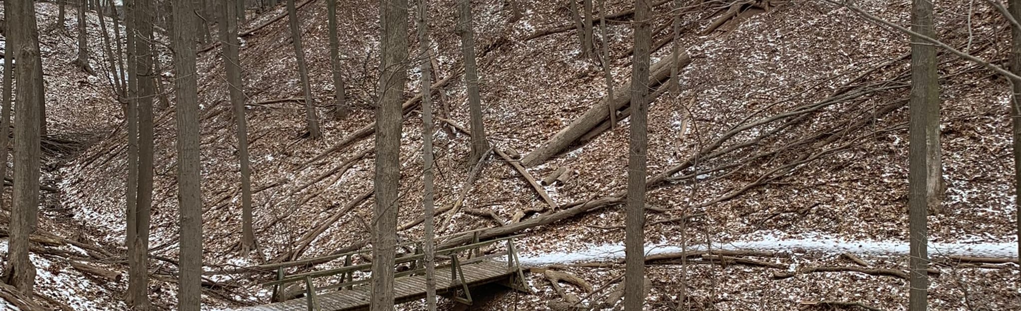 Ontario Tree Trail: 9 foto's - Ontario, Canada | Wandelen - AllTrails