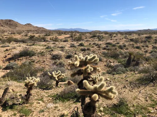 Best Hikes and Trails in Orocopia Mountain Wilderness | AllTrails