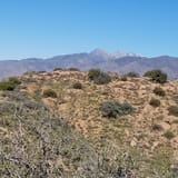Reavis Ranch Trail to Fire Line Trail, Arizona - 97 Reviews, Map ...