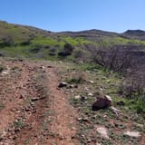 Reavis Ranch Trail to Fire Line Trail, Arizona - 97 Reviews, Map ...