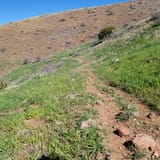 Reavis Ranch Trail to Fire Line Trail, Arizona - 97 Reviews, Map ...