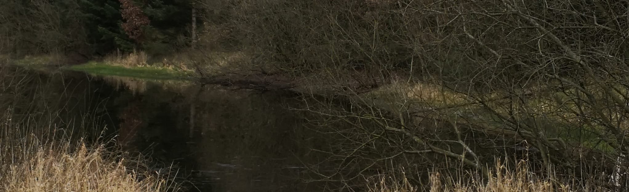 Velling Skov - Salten Å, 14 Fotos - Central Denmark, Denmark | AllTrails