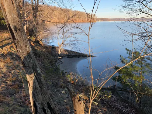 Best Forest Trails in Quantico | AllTrails