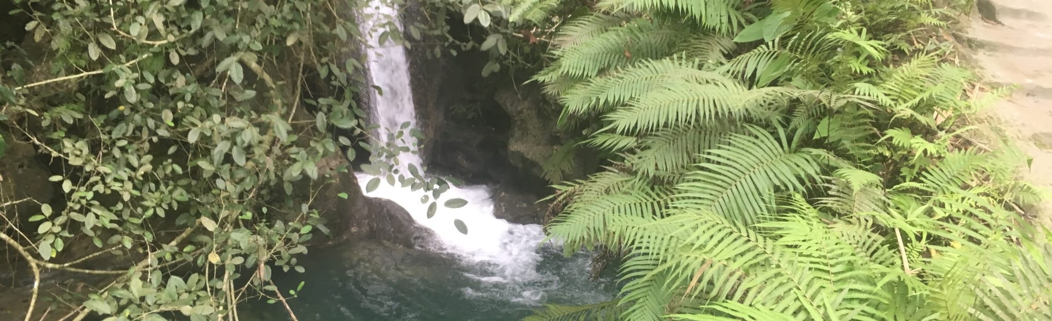 Kawasan Falls and Matutinao Waterfall: 46 fotos - Cebu, Filippinerne ...