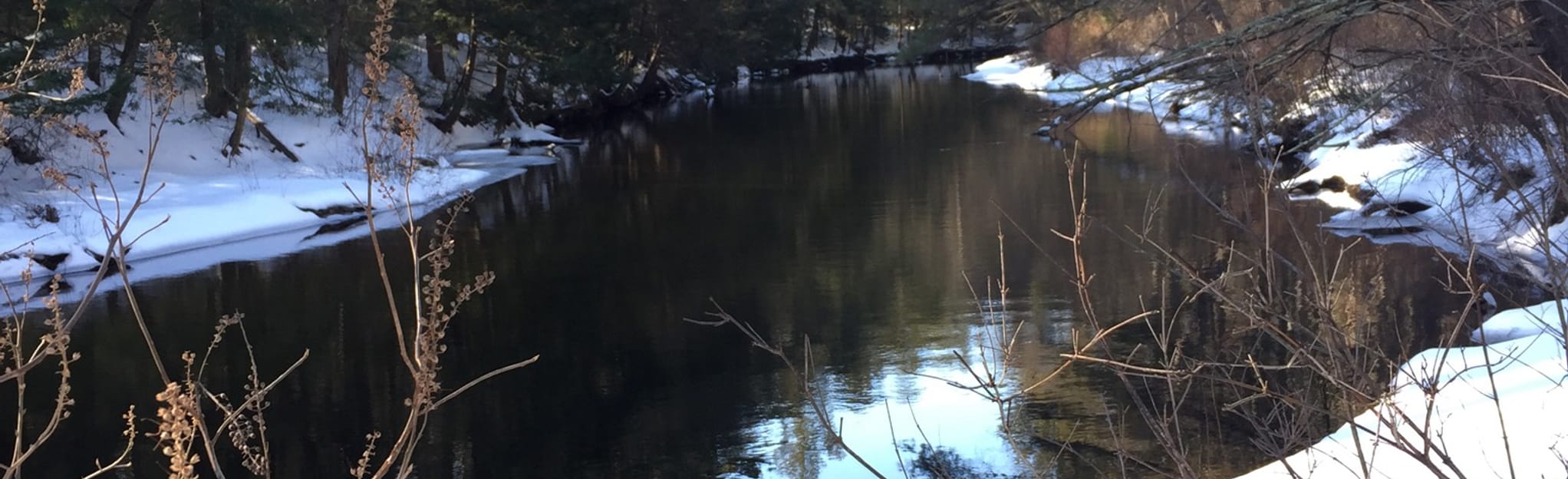 Howard Park Loop: 57 Reviews, Map - Massachusetts | AllTrails