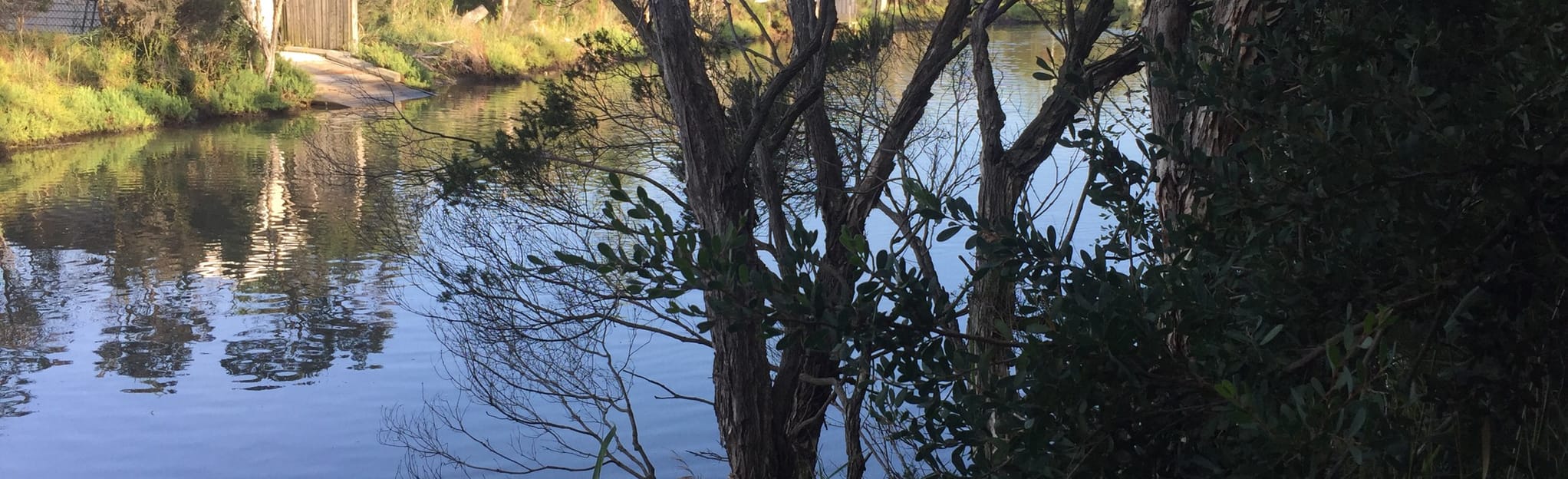 Kananook Walking Trail: 23 Reviews, Map - Victoria, Australia | AllTrails