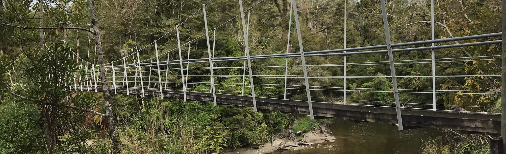 Paparoa Track, West Coast, New Zealand - 50 Reviews, Map | AllTrails