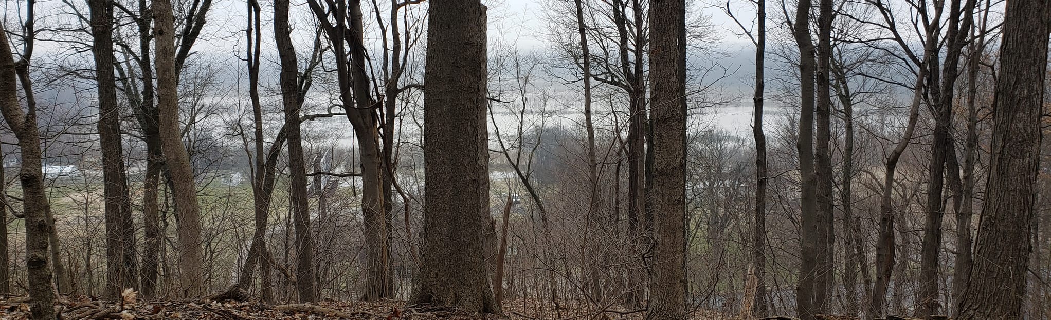 Eagle Glen Pet Trail, Kentucky - 142 Reviews, Map | AllTrails