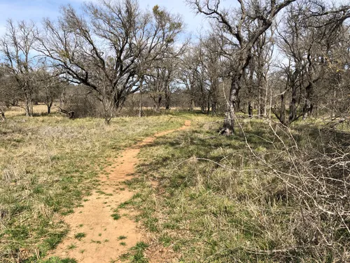 Best Hikes and Trails in Lake Brownwood State Park | AllTrails