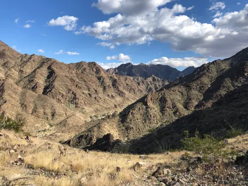 10 Best Trails and Hikes in Yuma | AllTrails