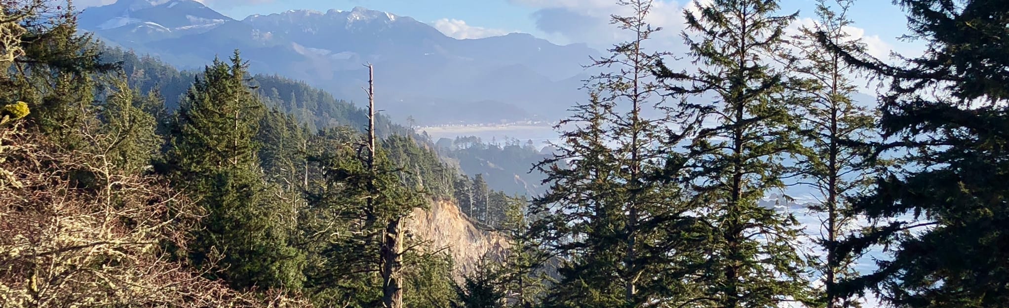 Clatsop Loop Trail from Indian Beach: 2127 Reviews, Map - Oregon ...